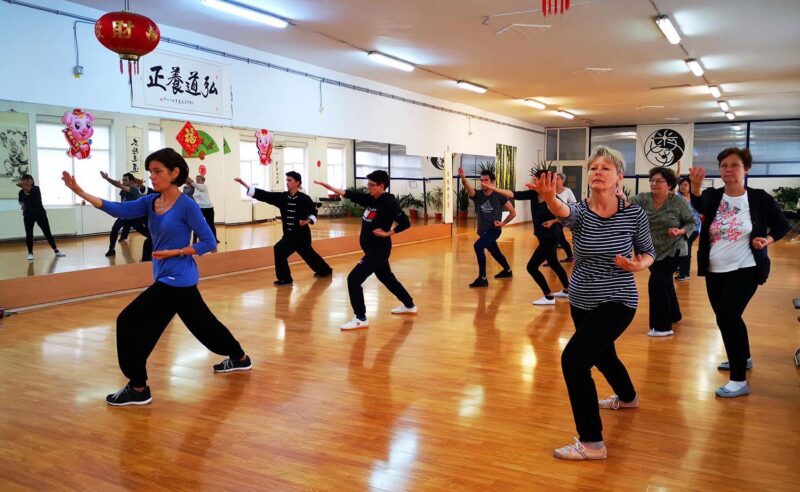 Curs DAOYIN – QIGONG Bucuresti – Artasia Academy